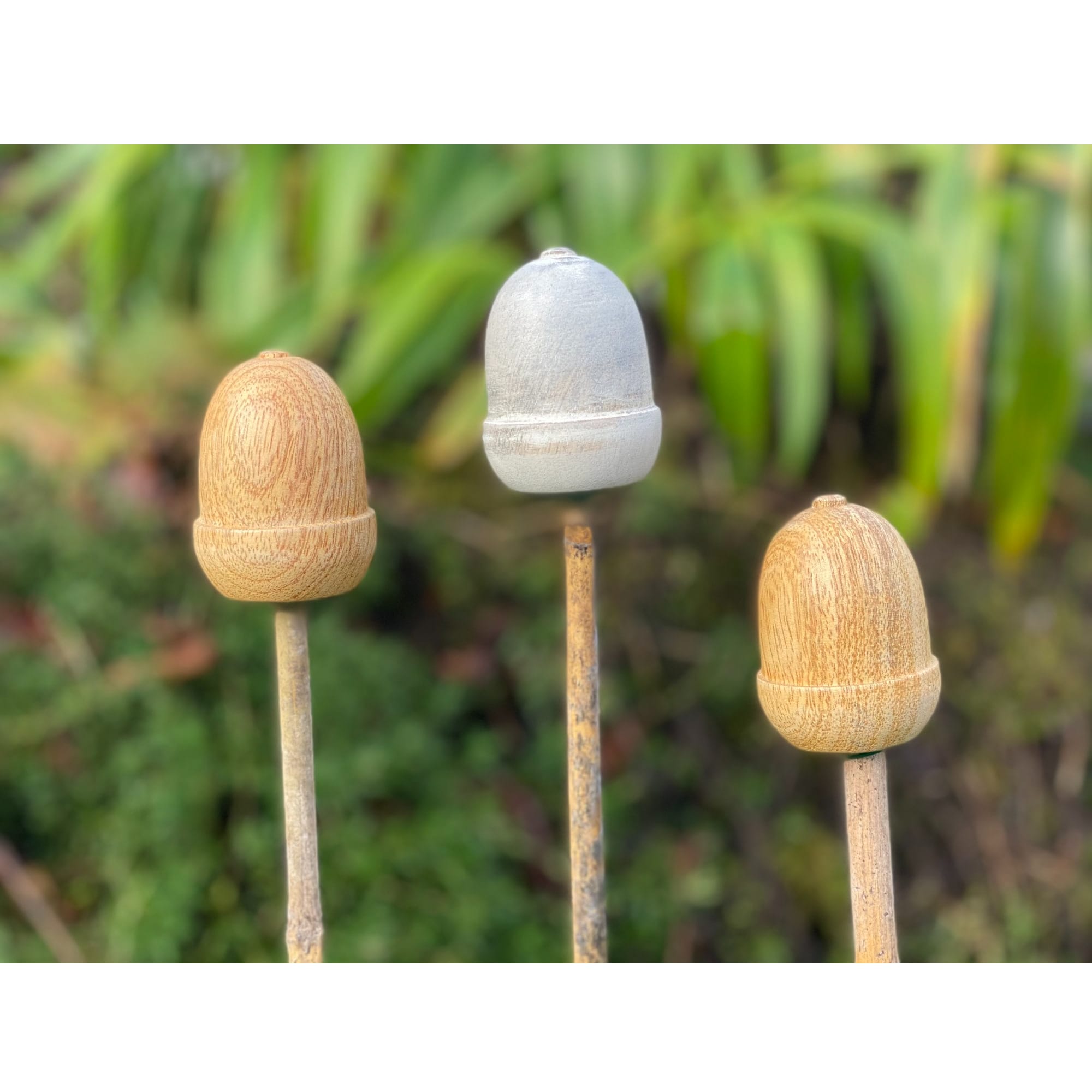 Acorn Cane Toppers (set of 3) – PiggyGarden
